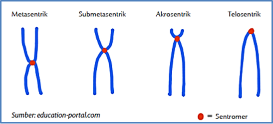 Rangkuman Materi IPA SMP/MTs Kelas 9 Kurikulum 2013 Tentang Pewaris ...