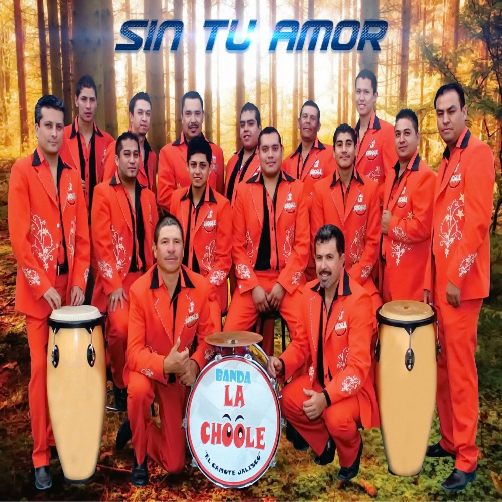 CDS DE REGALO TECNOBANDAS Y MAS DE LOS 90 : BANDA LA CHOOLE SIN TU AMOR