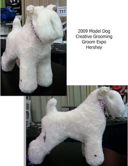 Pet Grooming: The Good, The Bad, & The Furry: Model Dog Grooming