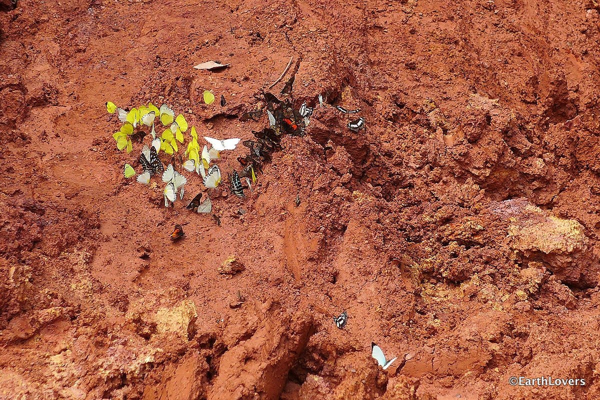 EarthLoversOnTour: Libongo: Dead End in Cameroon or Gateway to the ...