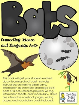 Growing a STEM Classroom: Bats!