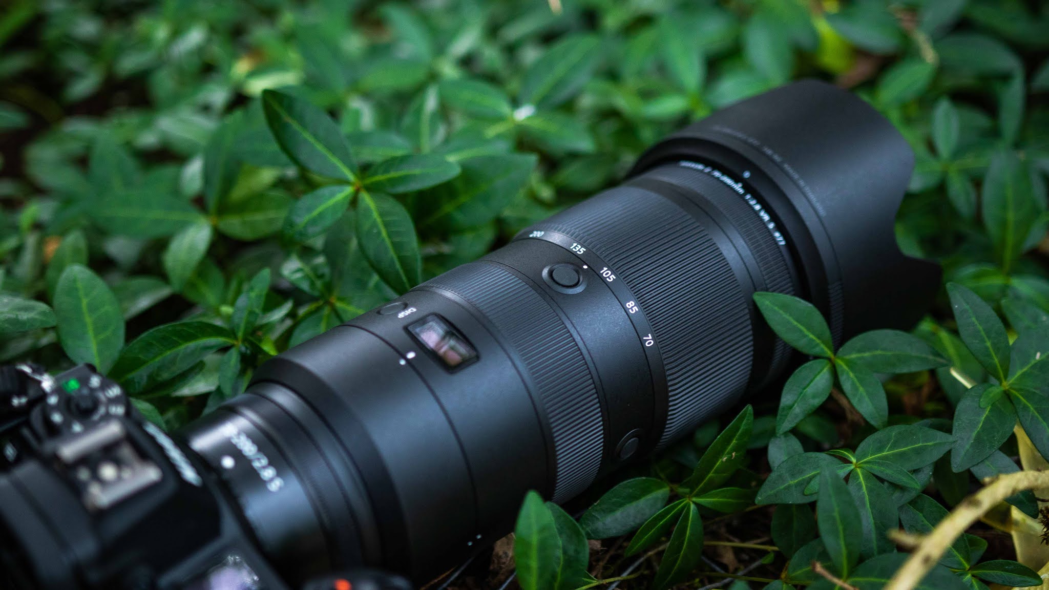 Illuminations from the attic: Nikon Z 70-200mm f2.8 VR S Review