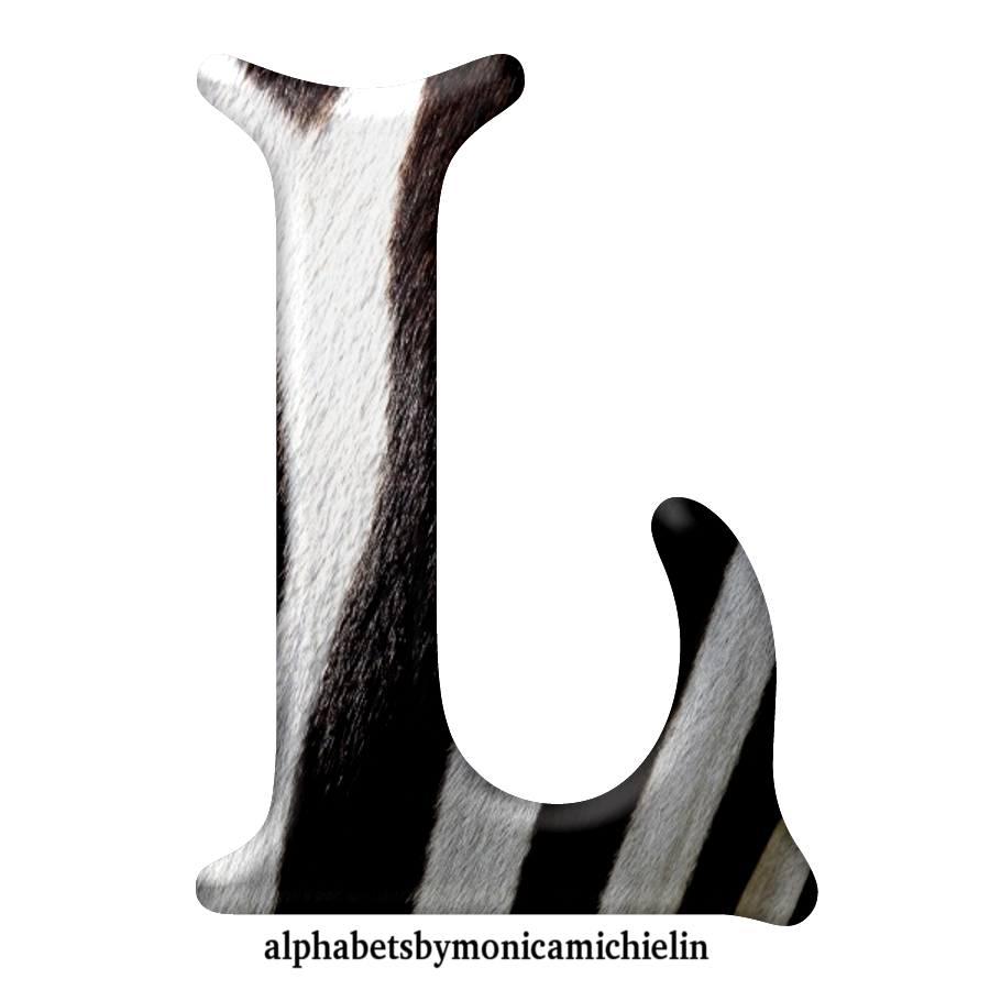 Monica Michielin Alphabets: ZEBRA TEXTURE SKIN GLASS FONT ALPHABET ...