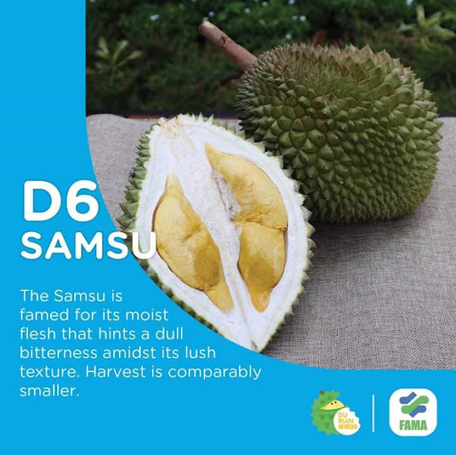 24 Jenis-Jenis Durian Beserta Nombor Code Yang RARE, Jarang Kita Dengar