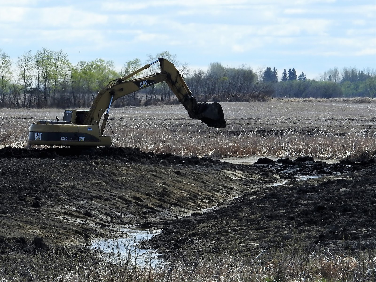 EcoFriendly Sask: Ducks Unlimited Canada: Protecting Migratory Birds ...