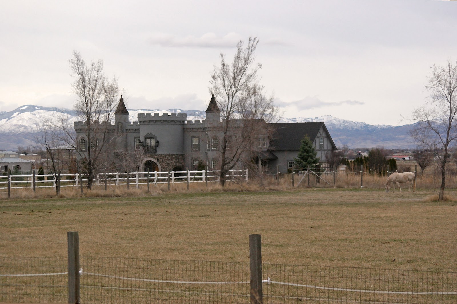 Windflower Farm Weekly: IDAHO Part Three