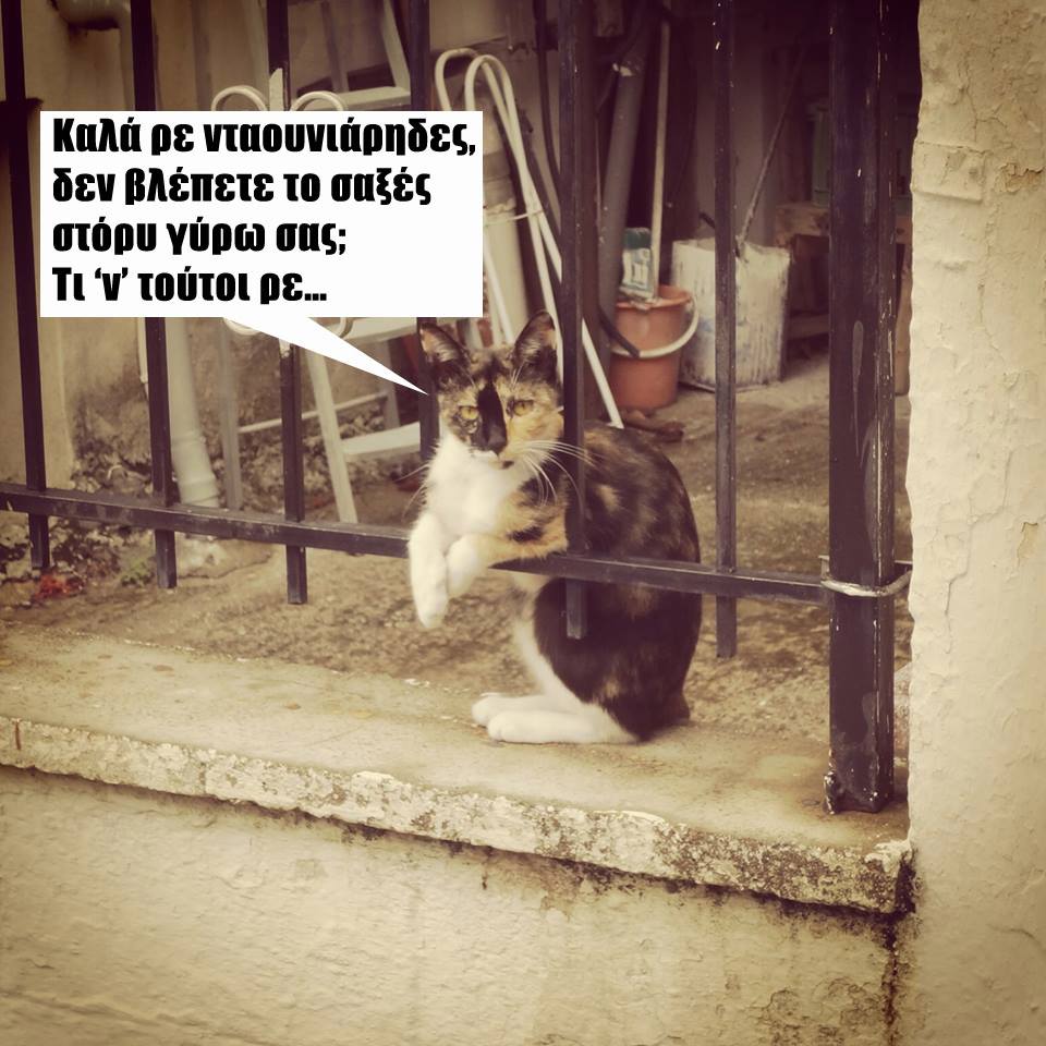 Svennegreken: Ιουνίου 2013