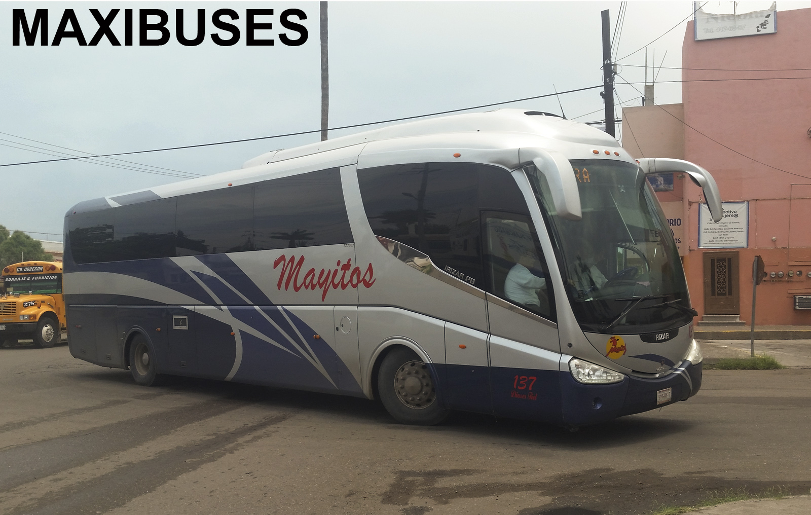 MAXIBUSES: AUTOBUSES LOS MAYITOS