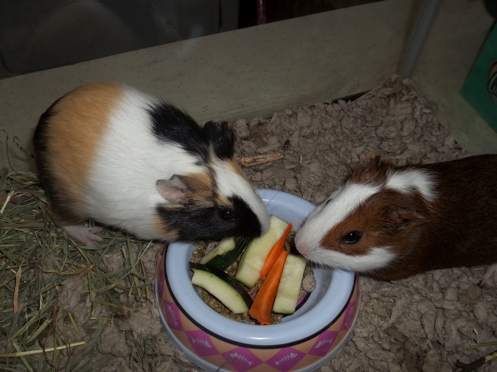 Rebecca Dupree Fiction