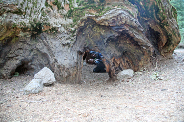 Papa's Poncho: Frazier Mills :: Mountain Home State Forest