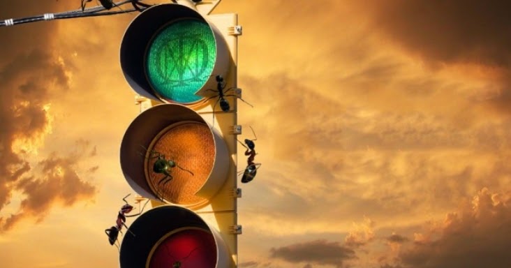 Les Experts Informatique: Le rêve ! Il bat le record du plus grand ...