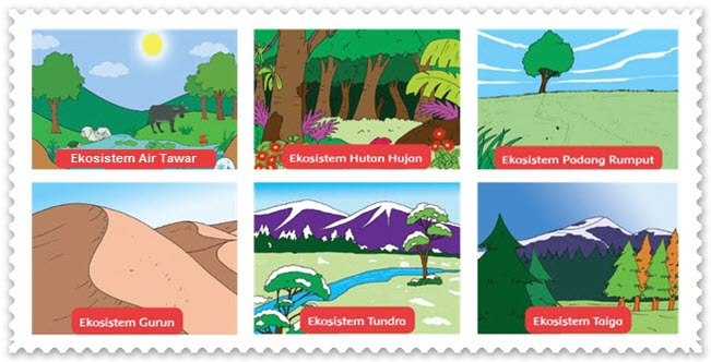 Pembelajaran 2 Tema 5 Subtema 1 Komponen Ekosistem | Mikirbae.com