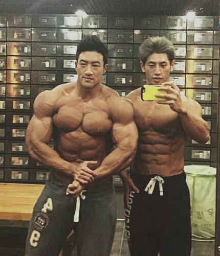 Korean Muscle Group