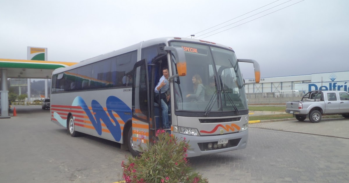 THE ROCK BUS: The Rock bus