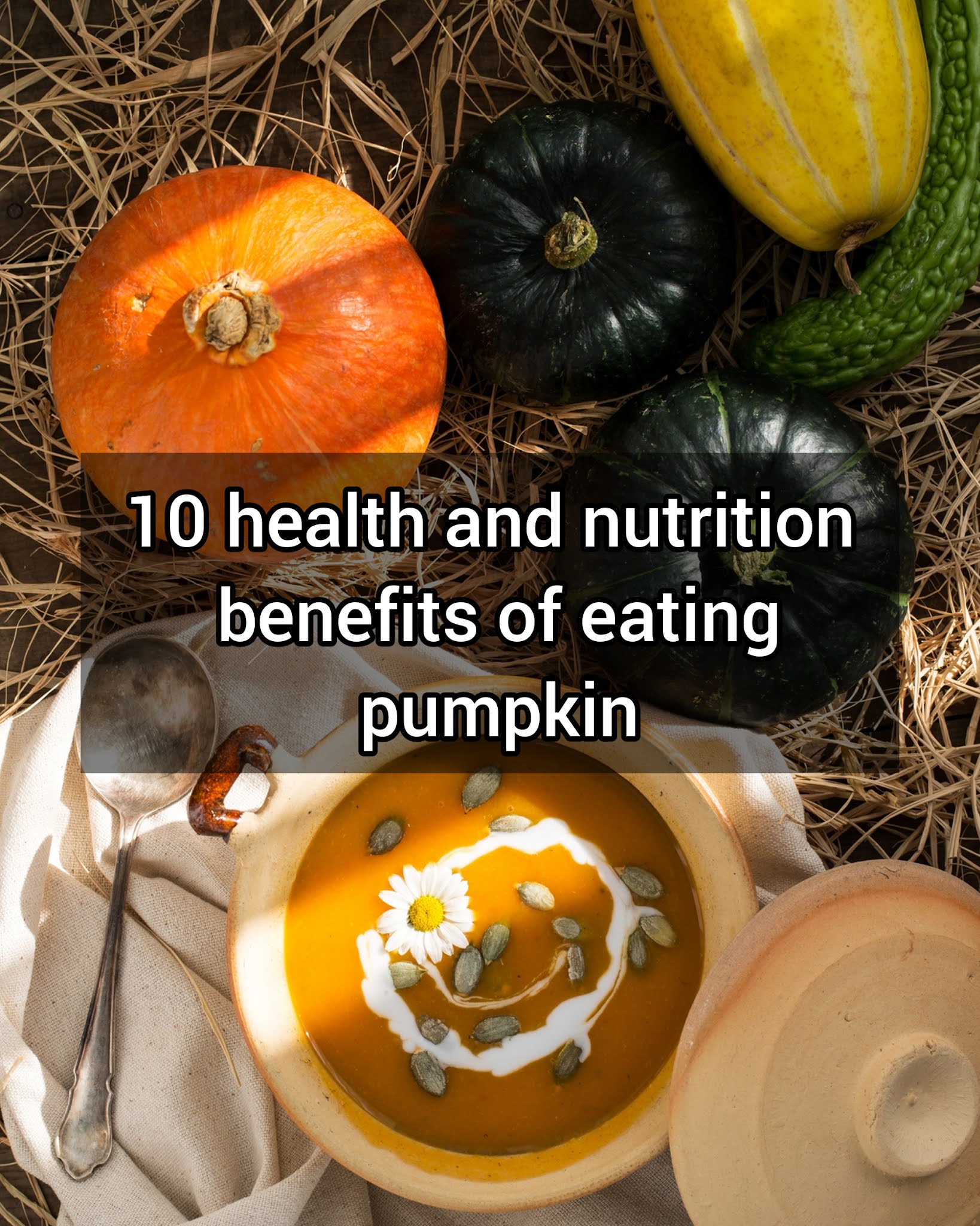 What are the health benefits of eating pumpkins? | Melody Jacob