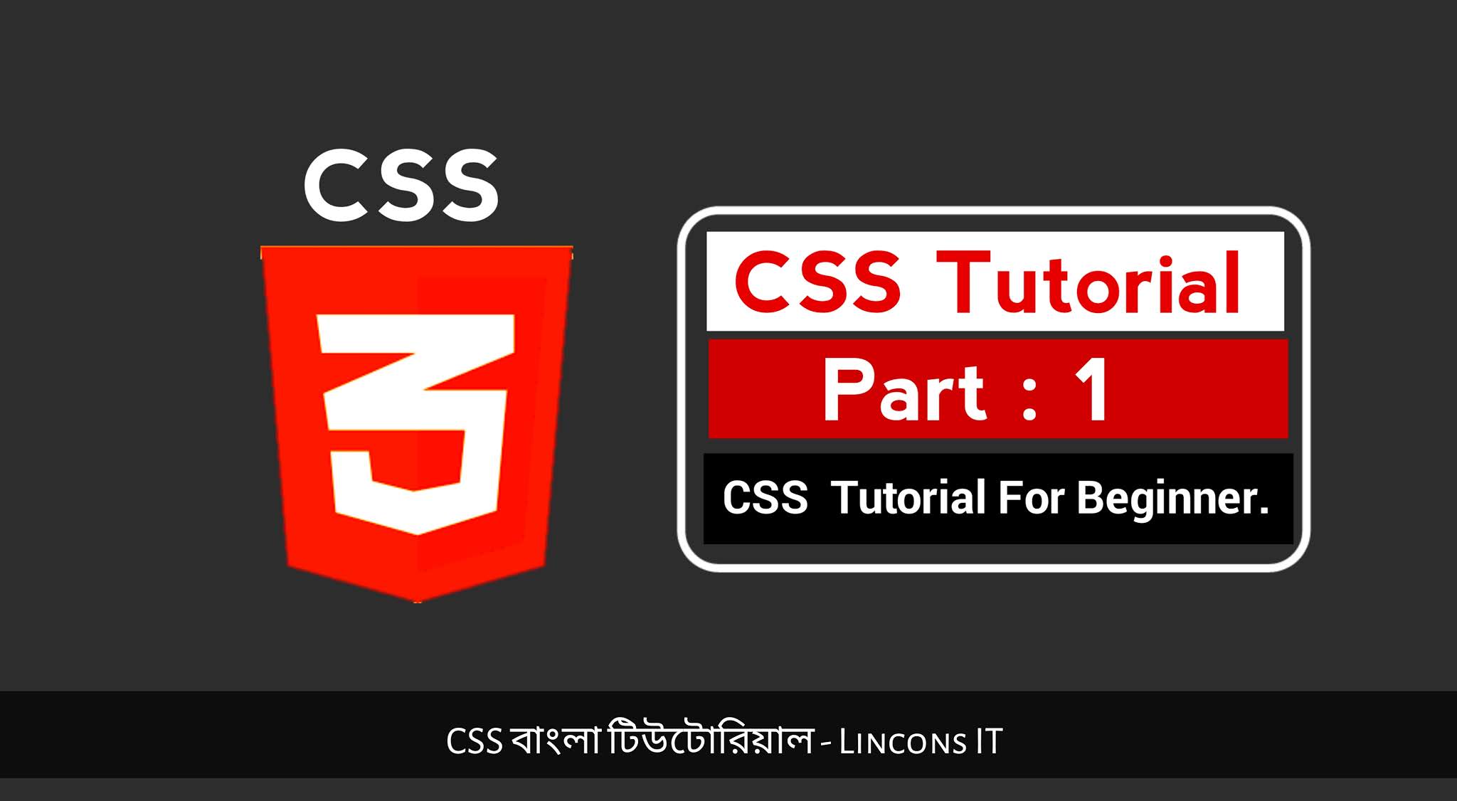 CSS Part : 1 - CSS কি? - Lincons Tech