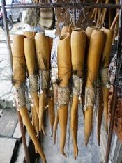 Mengenal Pembuatan Koteka Pakaian Adat Asal Papua - Dunia Kesenian