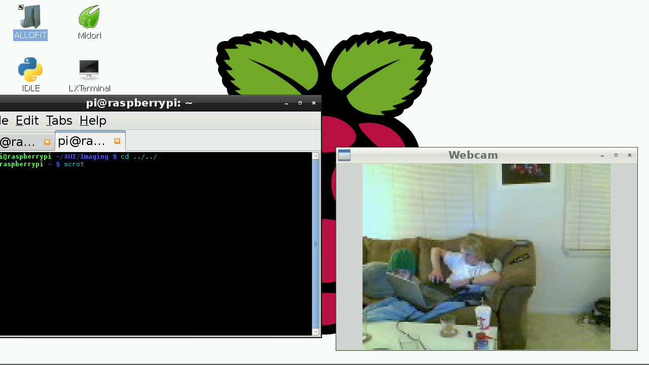 Tutorial Raspberry Pi Using A Webcam With The Raspberry Pi