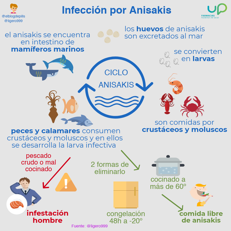 Universo Microbiológico: Anisakis