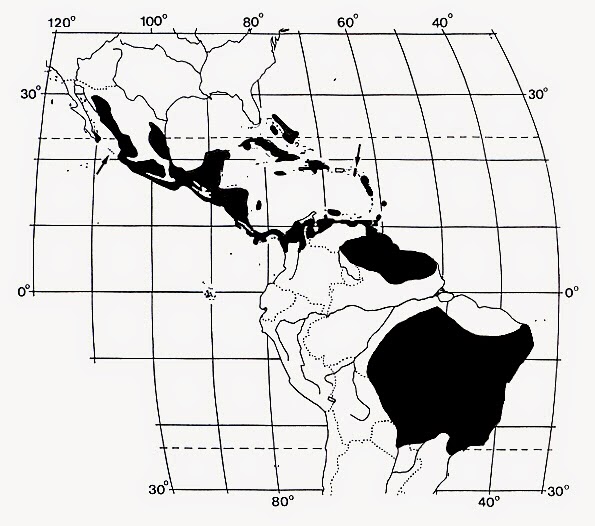 BioChismes - BioGossips: Families of Bat: Distribution.