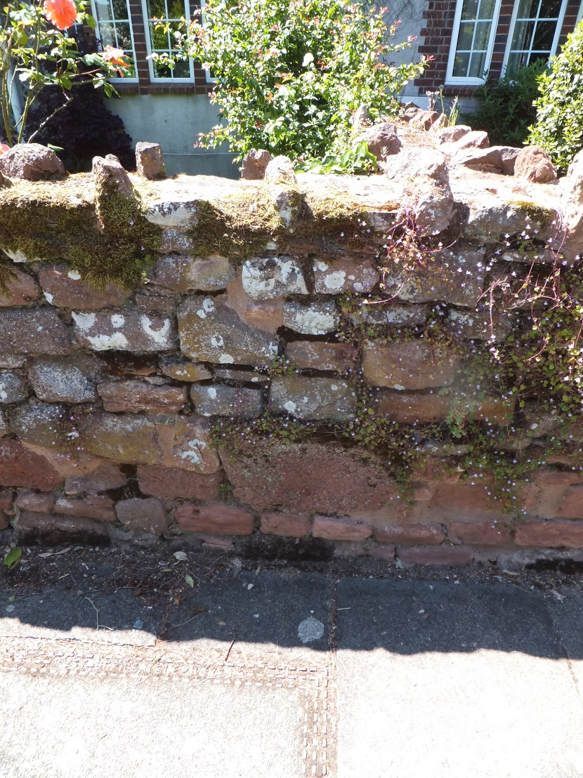 Looking at St Leonard's, Exeter: 2013