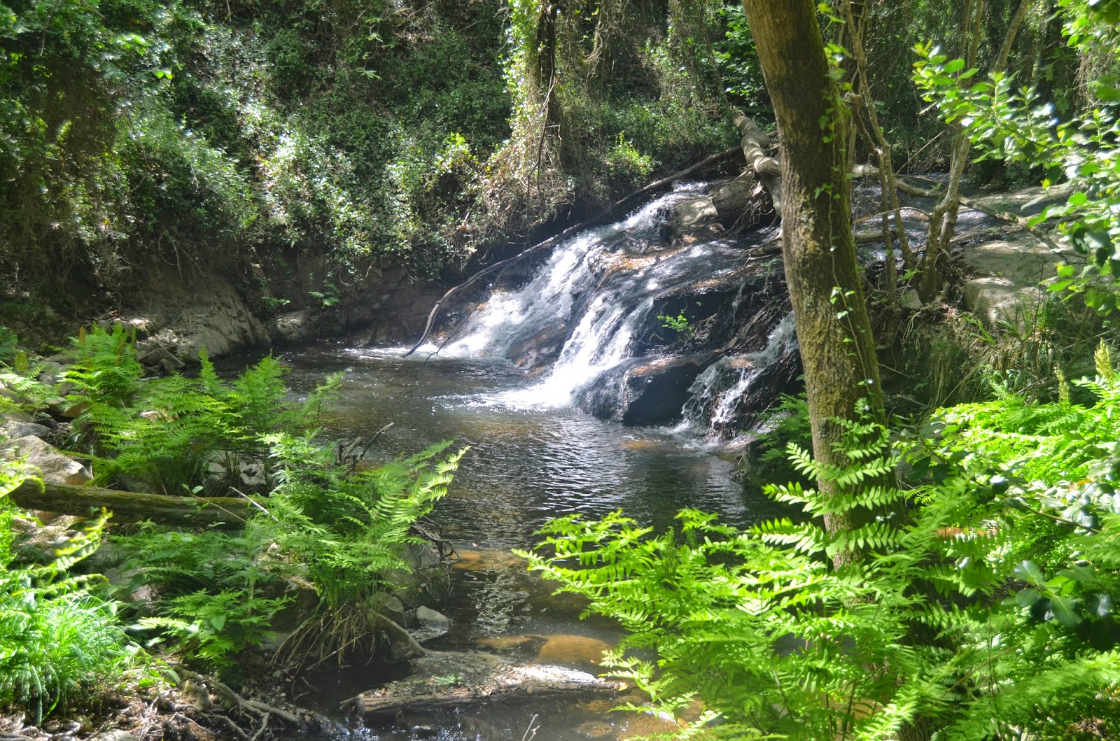 Les meves excursions: 20. RUTA POR GUALBA