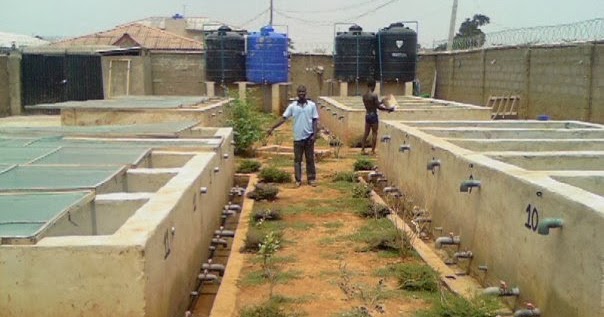 Fish Farming Plan - ORIENTATION ON HOW TO REAR ANIMALS