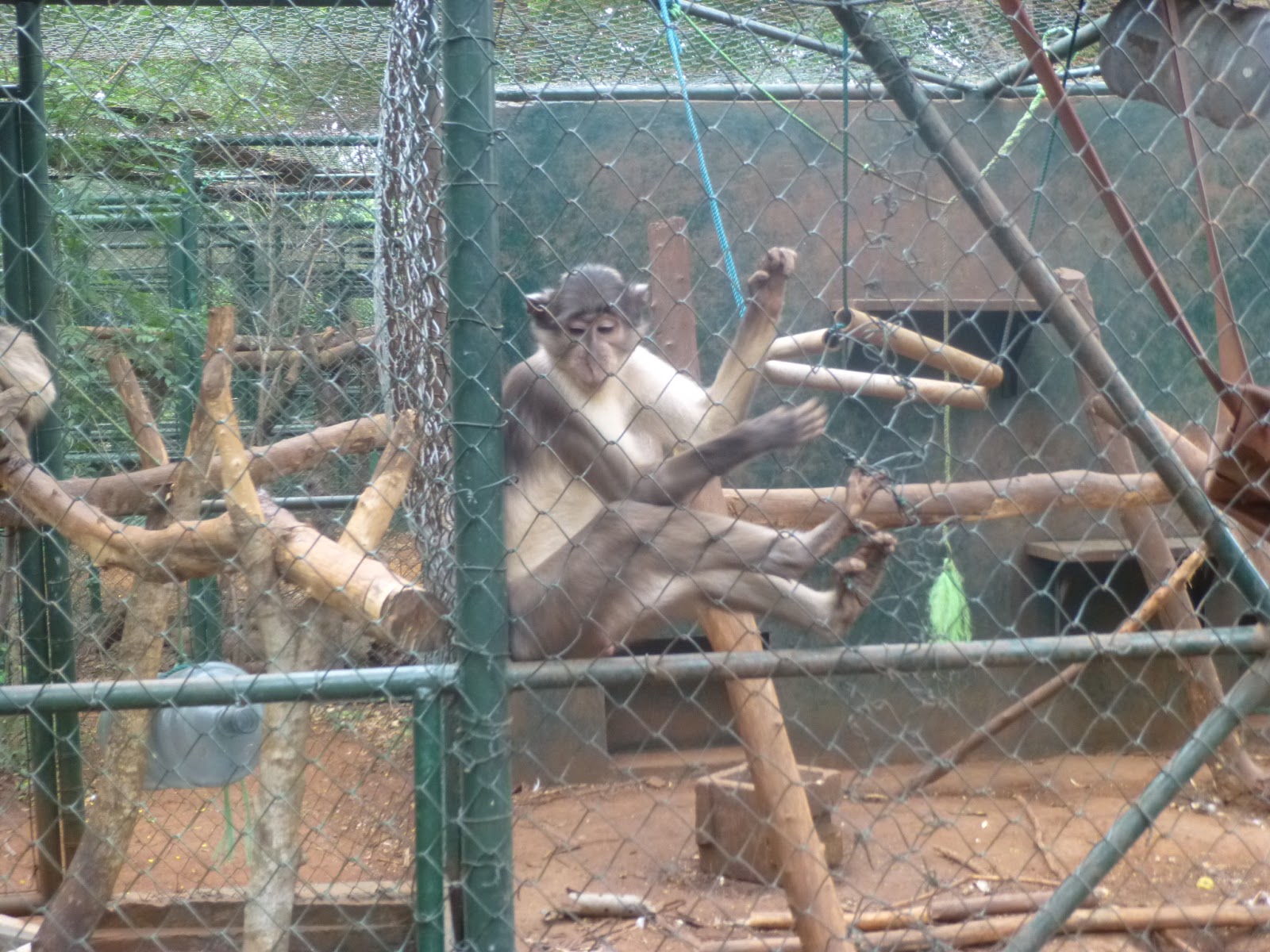 Elder Kade Edler Eppich: July 2013