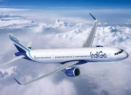 Indigo Pnr Status