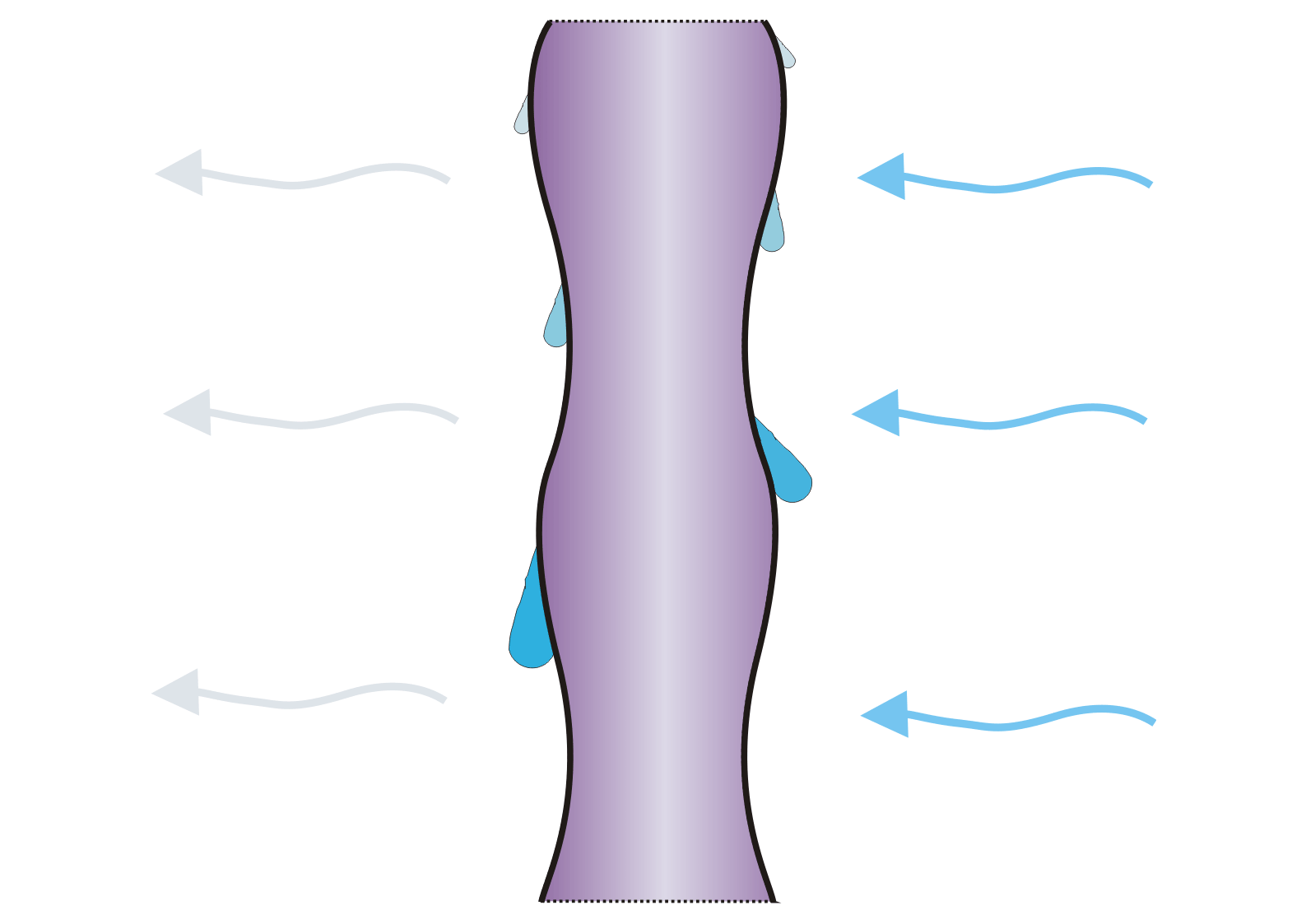 Light Absorption Gif at Nicole Bentley blog