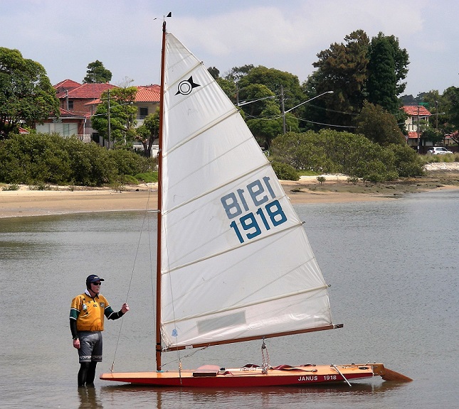 Earwigoagin: More Photos of Australian Sailfish