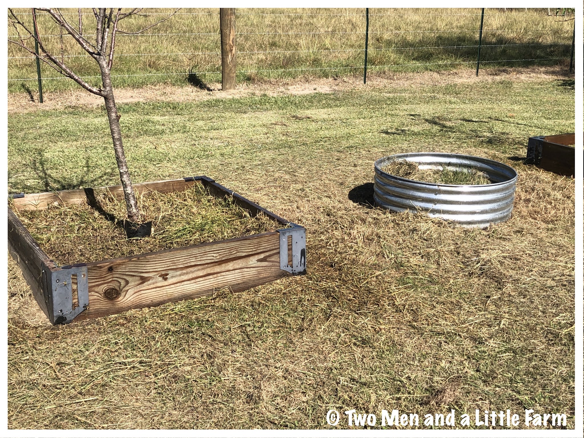 Two Men and a Little Farm: NICE WEEKEND AND SOME FRUIT COMING SOON