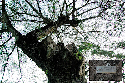 Taiping Photo Gallery