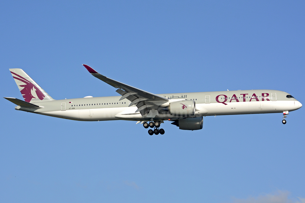 Ricardo Gomes - The True Life of a True Spotter: Spotting Trip @ Nova ...