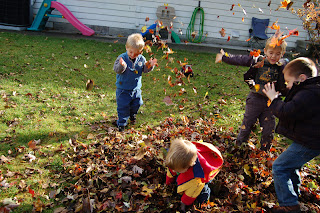 Henle House Chronicles: Leaf Pile