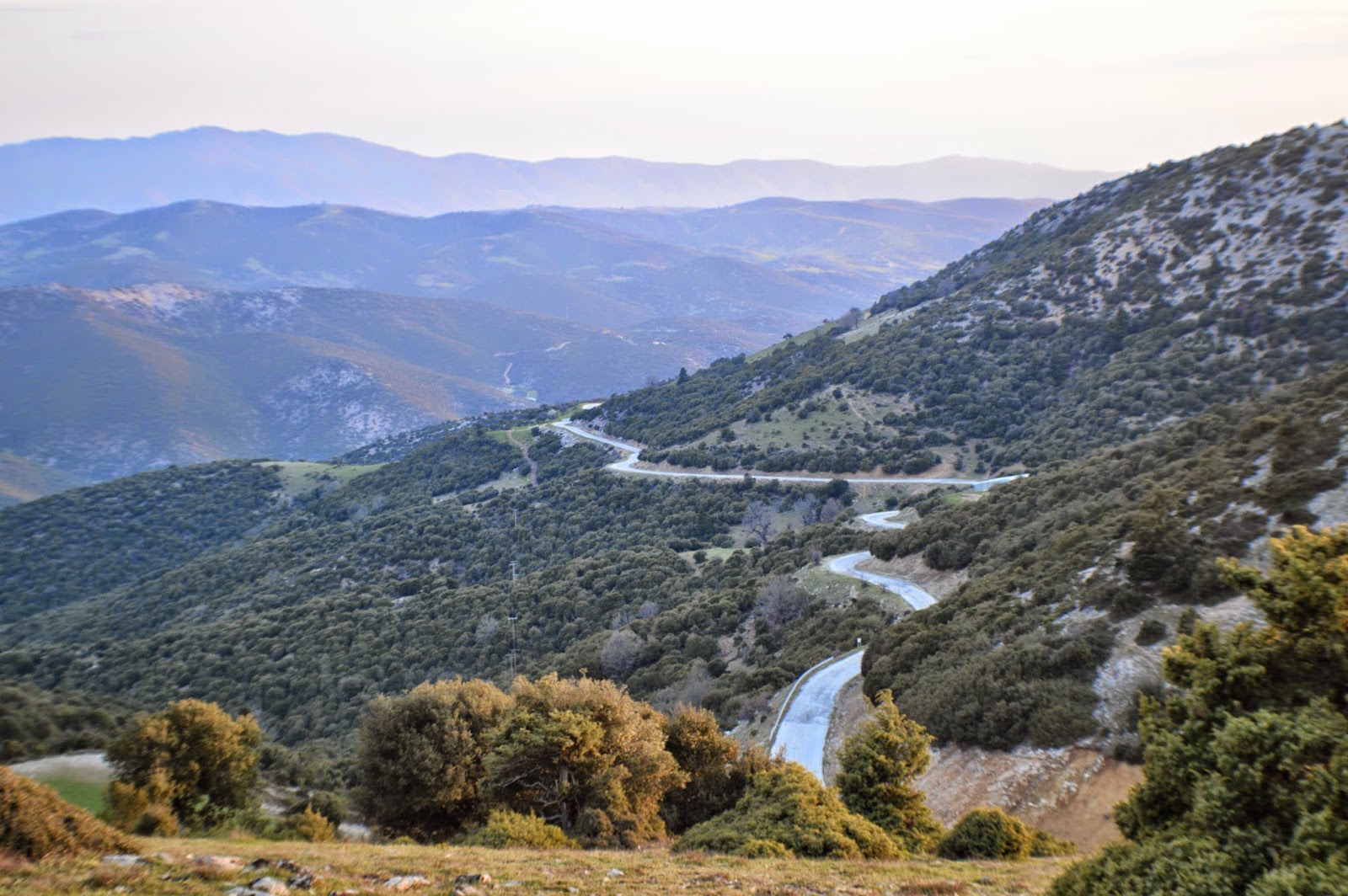 ακρη ελασσονας: κοκκες και η θεα απο ψηλα
