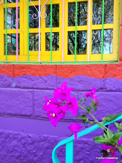 Cynful Musings: The World of Anado