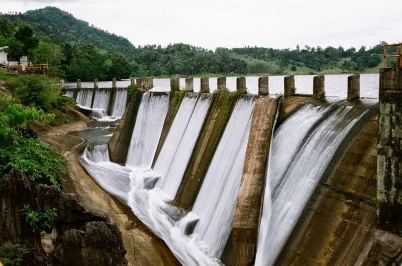 Golden Toledo: The Copper with a Heart of Gold ♥