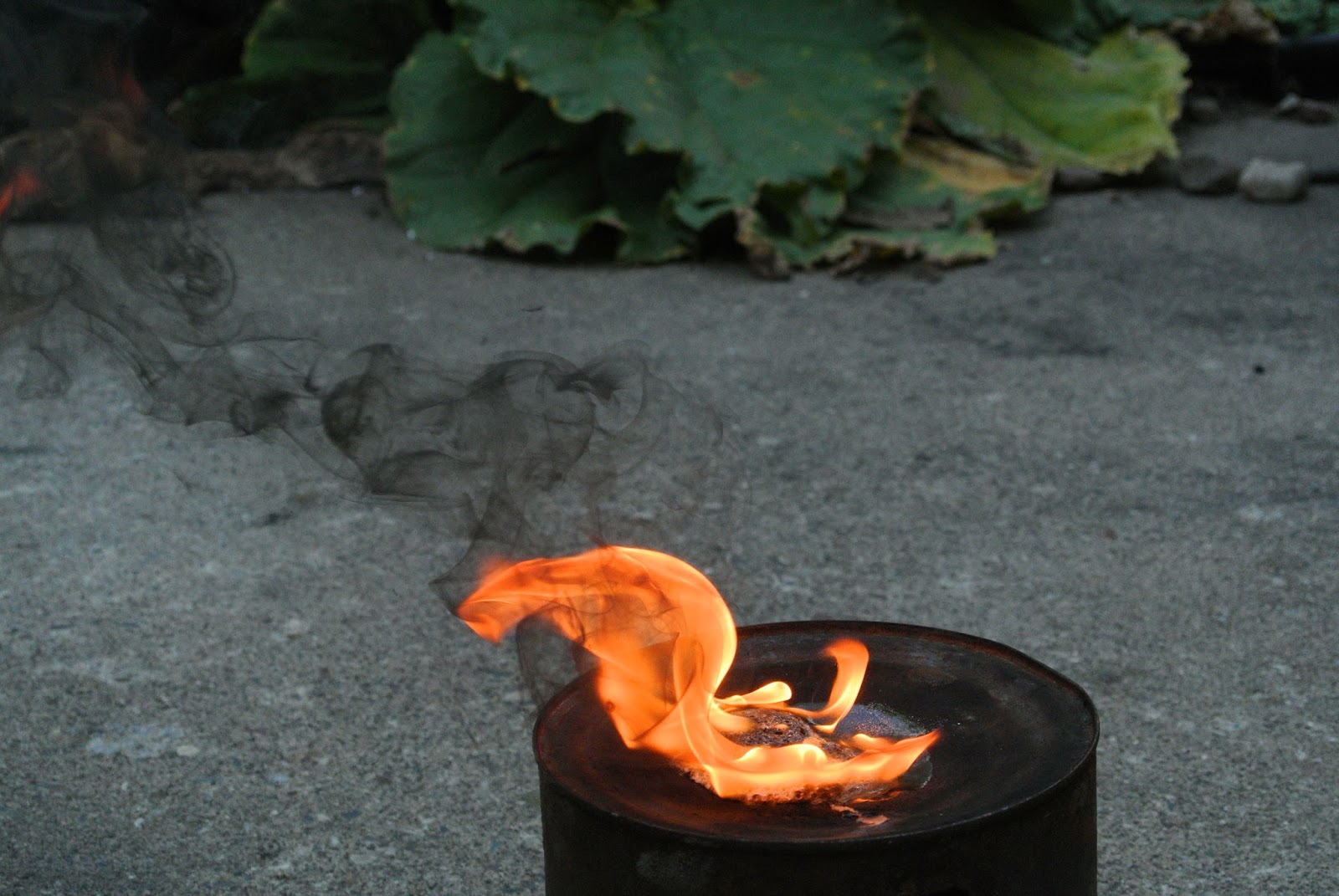 Science With Screens: Experiment 64: Homemade Napalm with Household ...