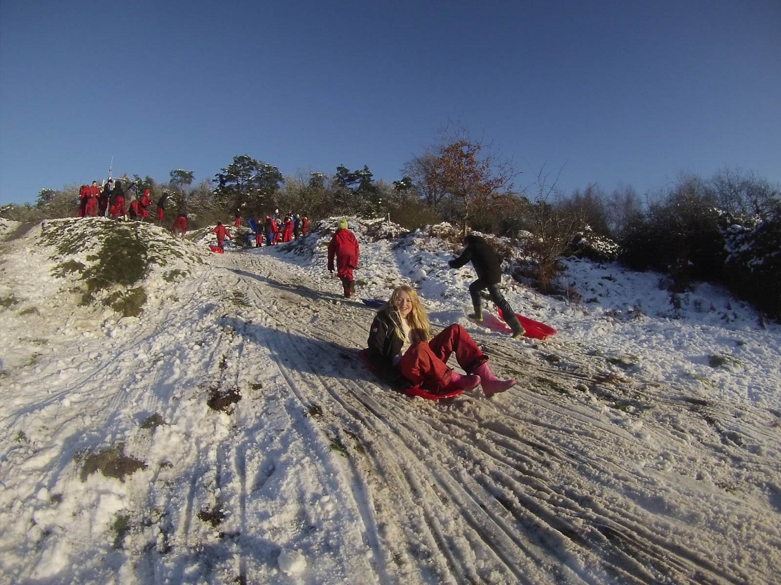 The Dean Field Studies Centre: 2017