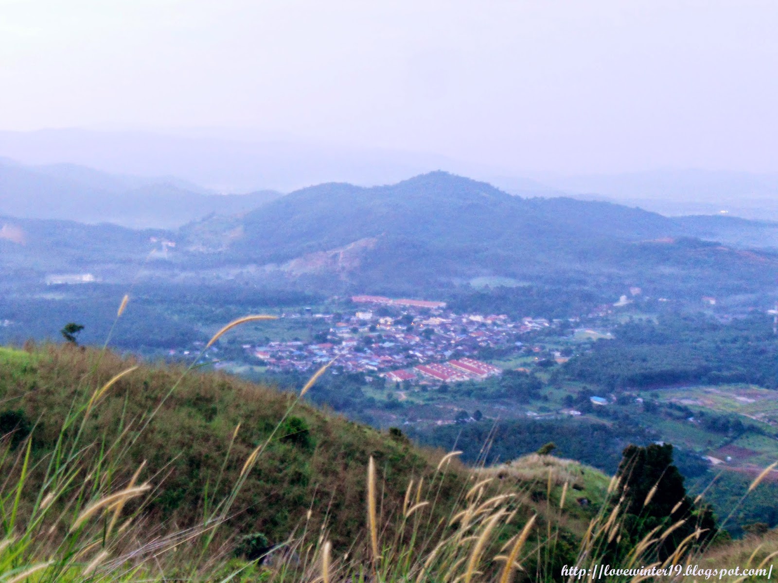 My Palace, My symphony of life and the rhythm in My heart: Discover ...