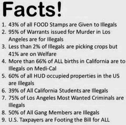 90 Miles From Tyranny The Cost Of Illegal Immigration 90-miles-from-tyranny-the-cost-of-illegal-immigration