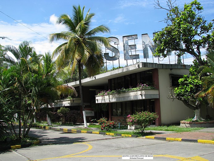 Tecnologia En Gestion De Redes De Datos: 6.1.2.7 Packet Tracer ...