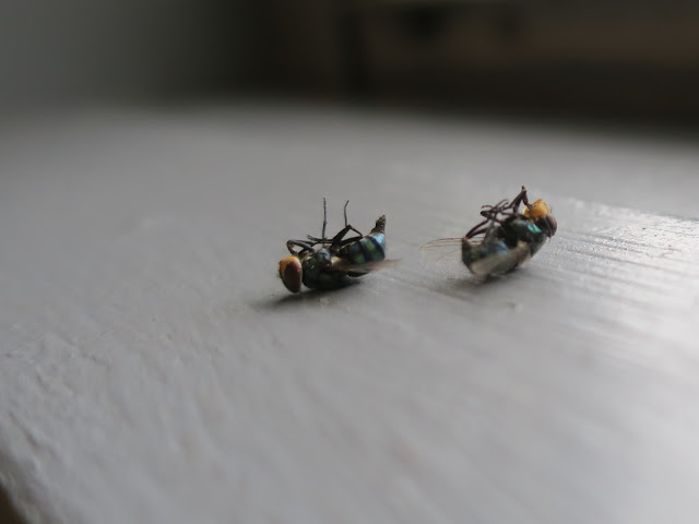 Living Rootless: Birmingham, AL: Beelzebub in Birmingham