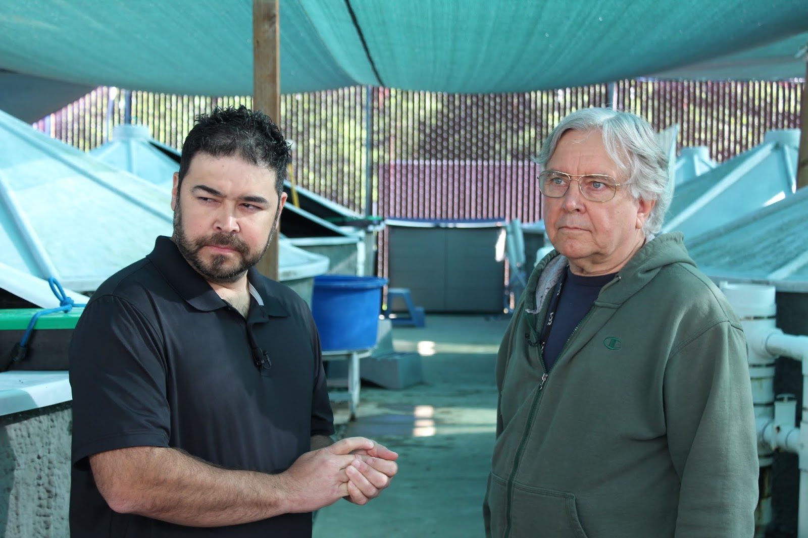 WSDA AgBriefs: An ancient fish for a revolutionary new fish farm