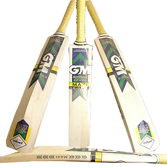 Aleda Costa: Best Cricket Bat Ever ...