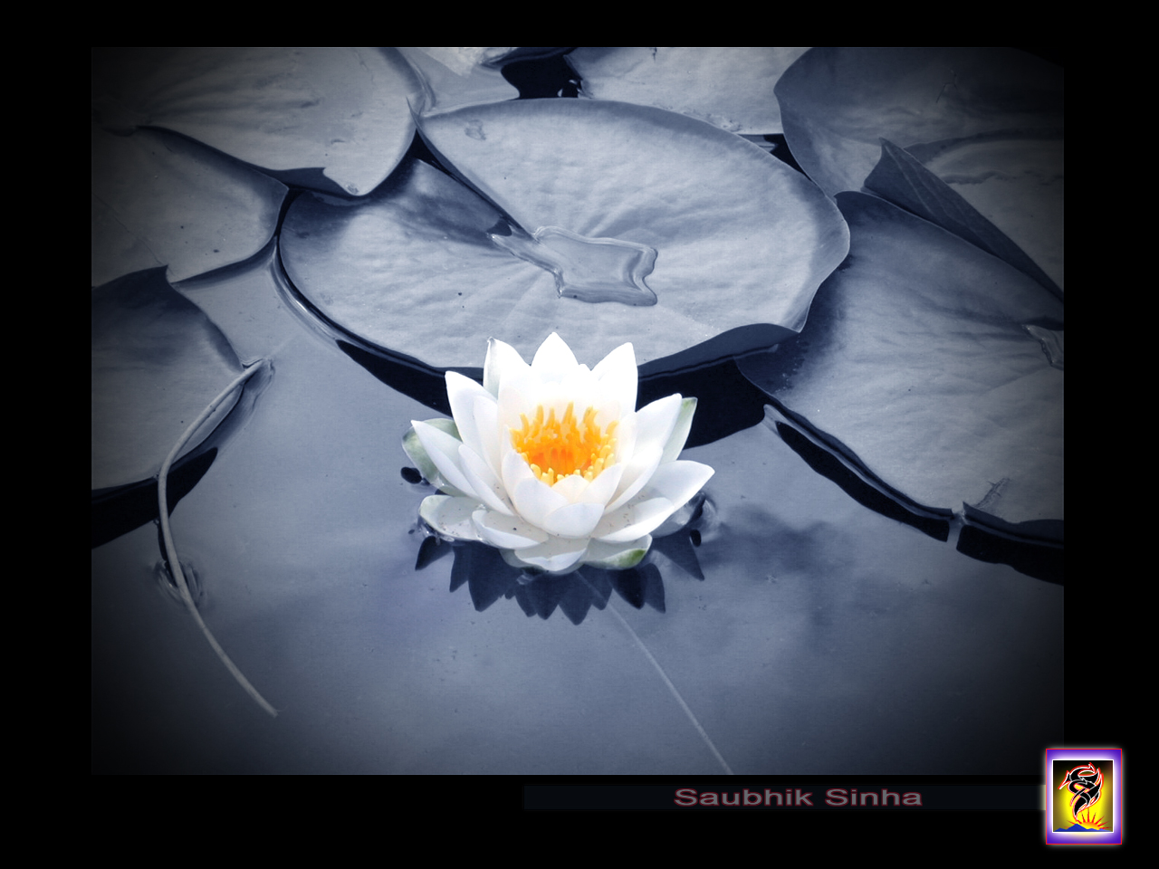 Saubhik Data: September 2011