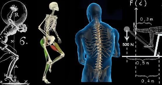 LA BIOFÍSICA Y SU RELACIÓN CON LA MEDICINA