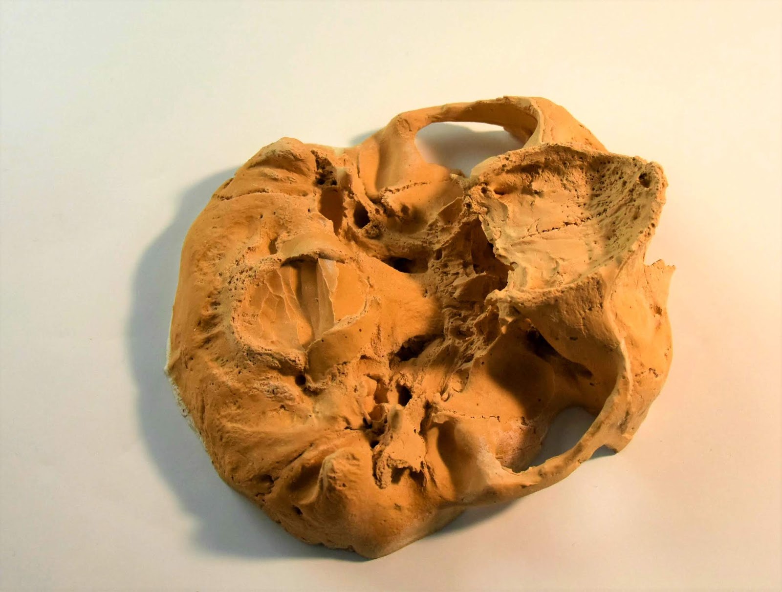 oase gips: Invata mai repede mai usor