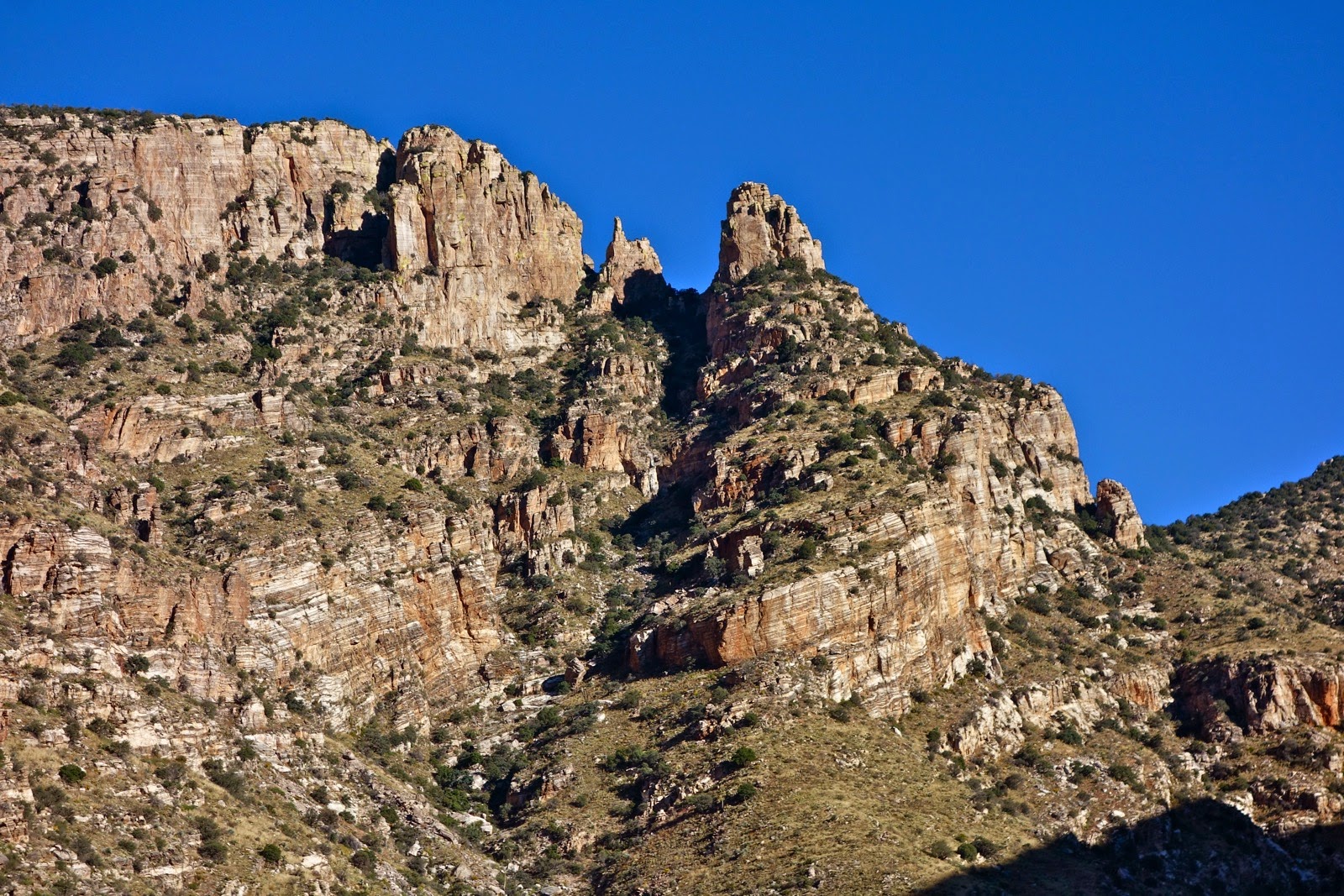 Earthline: The American West: Finger Rock Guard, 6,475', Pusch Ridge ...